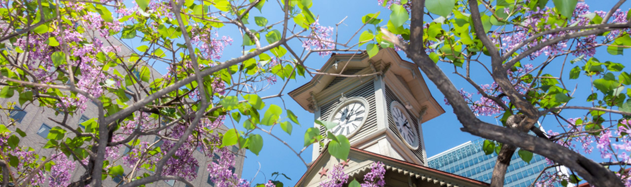 Sapporo Car Hire | Wonderful Value | Enjoy Travel